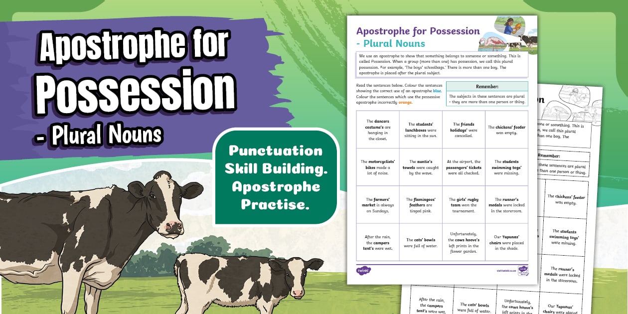 Apostrophe for Possession - Plural Nouns Colouring Activity