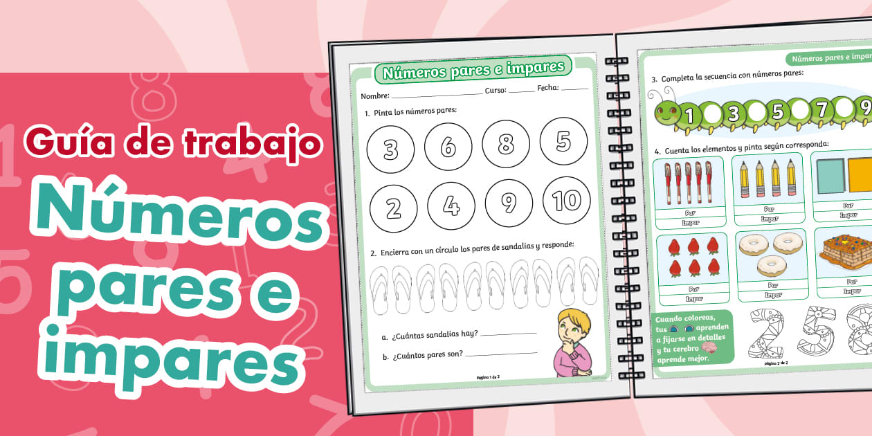 Guía de Trabajo | Números Pares e Impares | Matemáticas