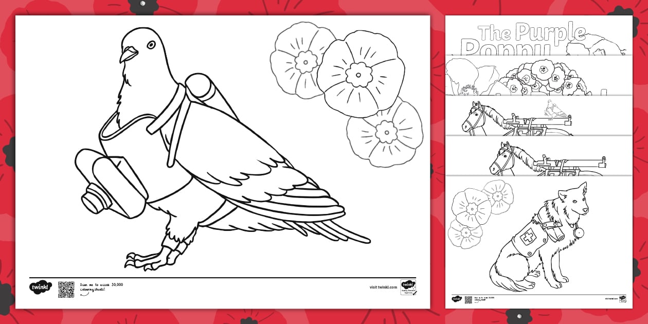 Remembrance Sunday Purple Poppy Colouring Pages