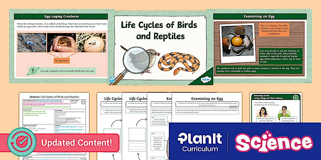 Science: LTaTH: Life Cycles of Birds and Reptiles Y5 L4