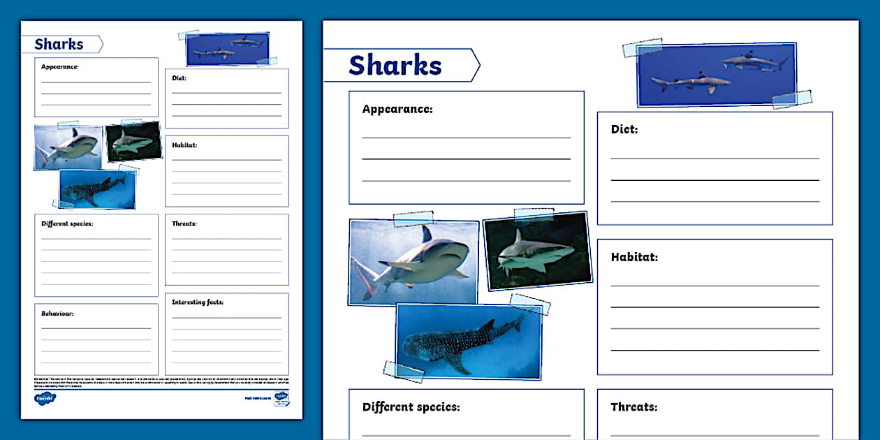 KS2 Sharks Fact File Template Twinkl Science (teacher made)