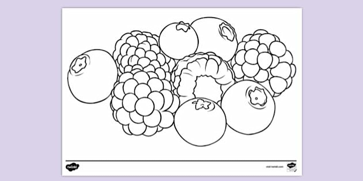 Wild Red Berries Colouring Sheet - Primary School - Twinkl
