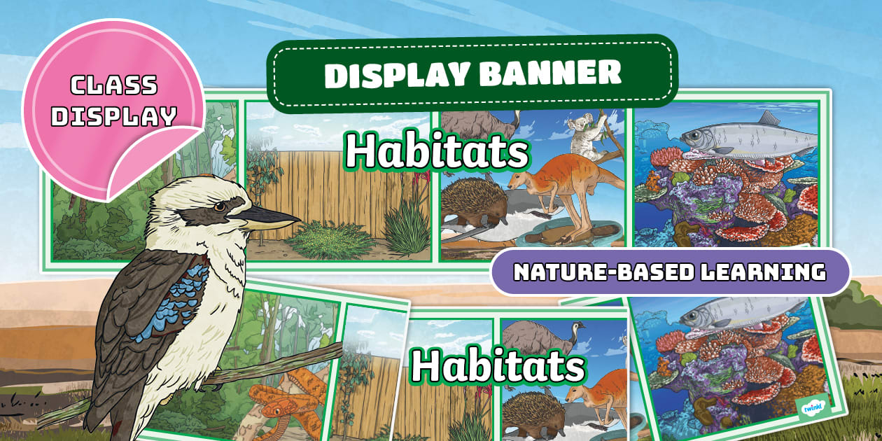 Outdoor STEM Display Banner – Habitats (teacher made)