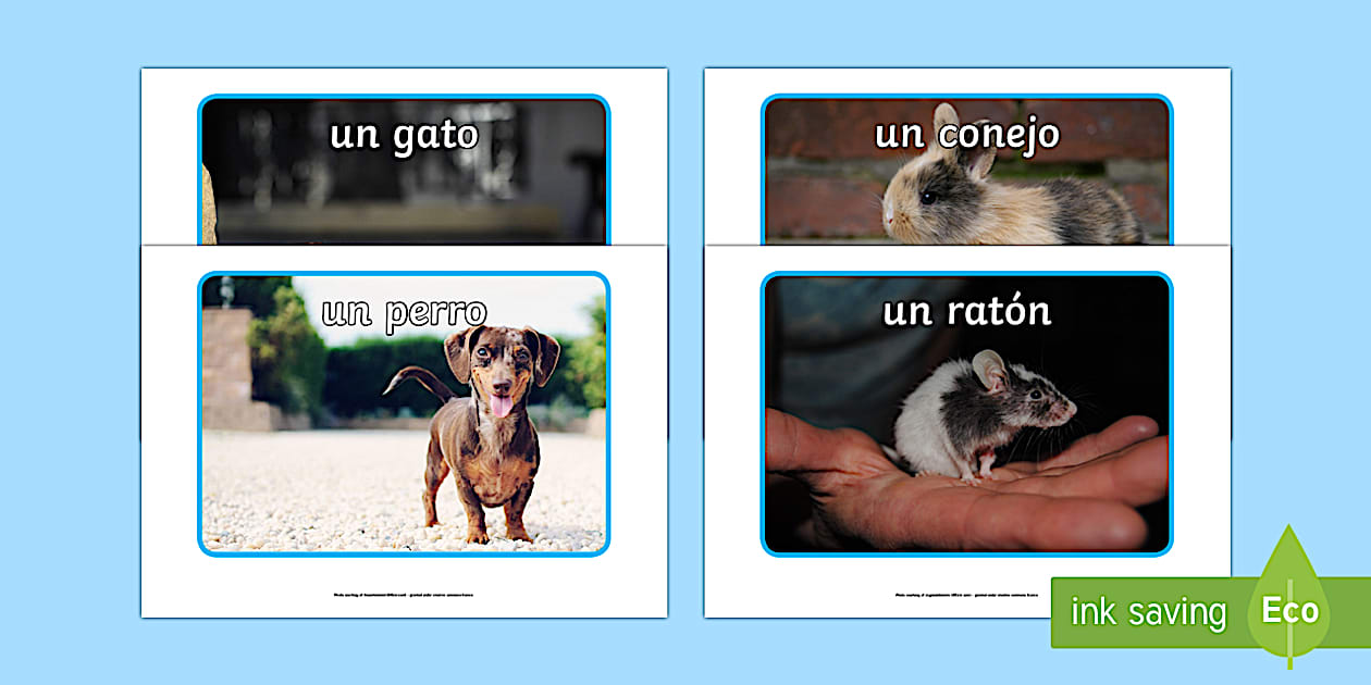 Pets Display Photos - Spanish (teacher made) - Twinkl