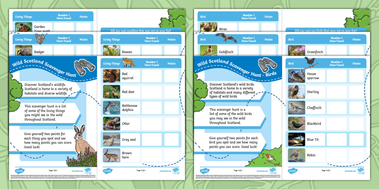 Wild Scotland Scavenger Hunt (l'enseignant a fait) - Twinkl