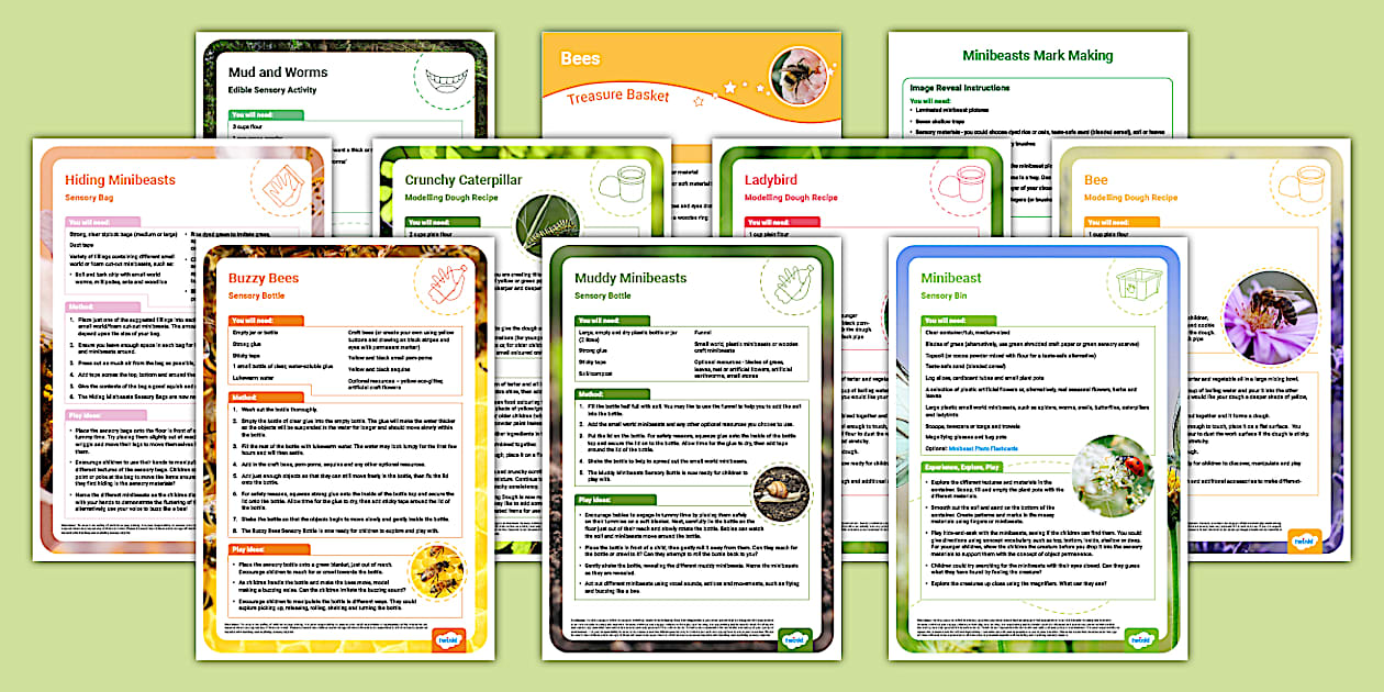 Minibeasts Sensory Activities Pack | Sensory Play | Twinkl