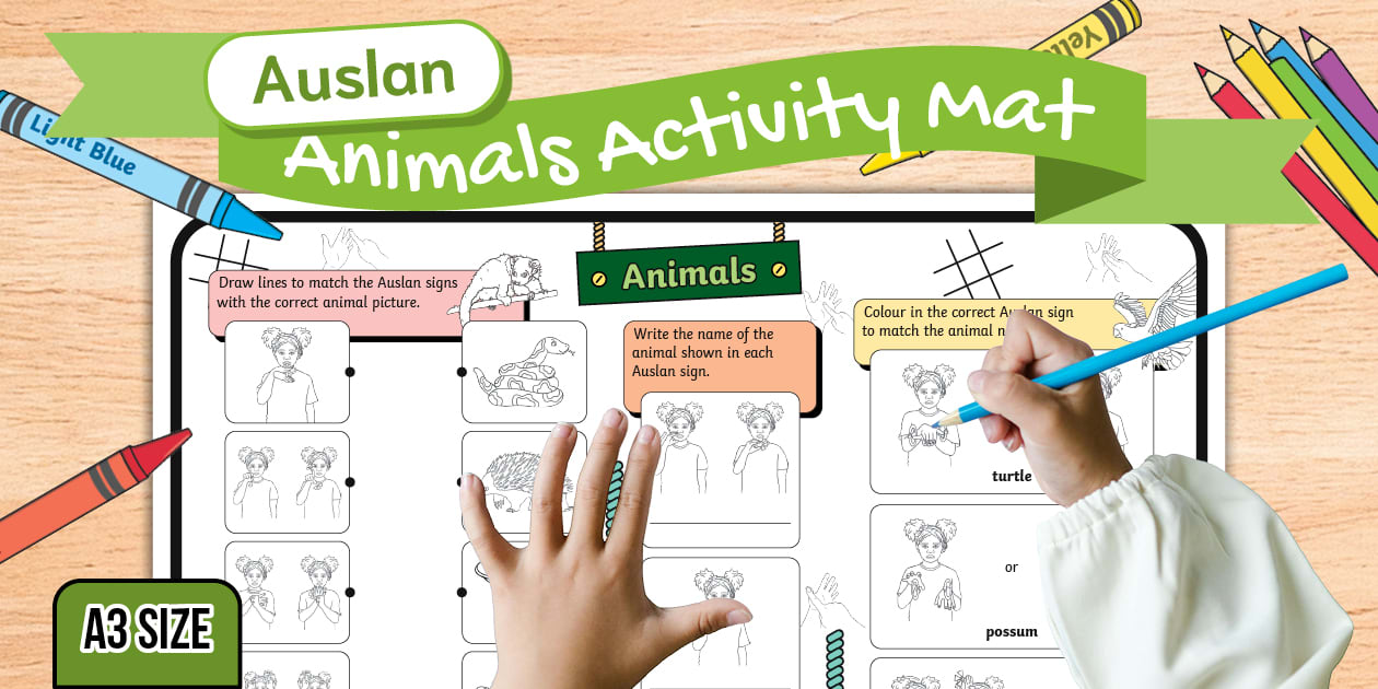 Auslan Animals Activity Mat (professor feito) - Twinkl