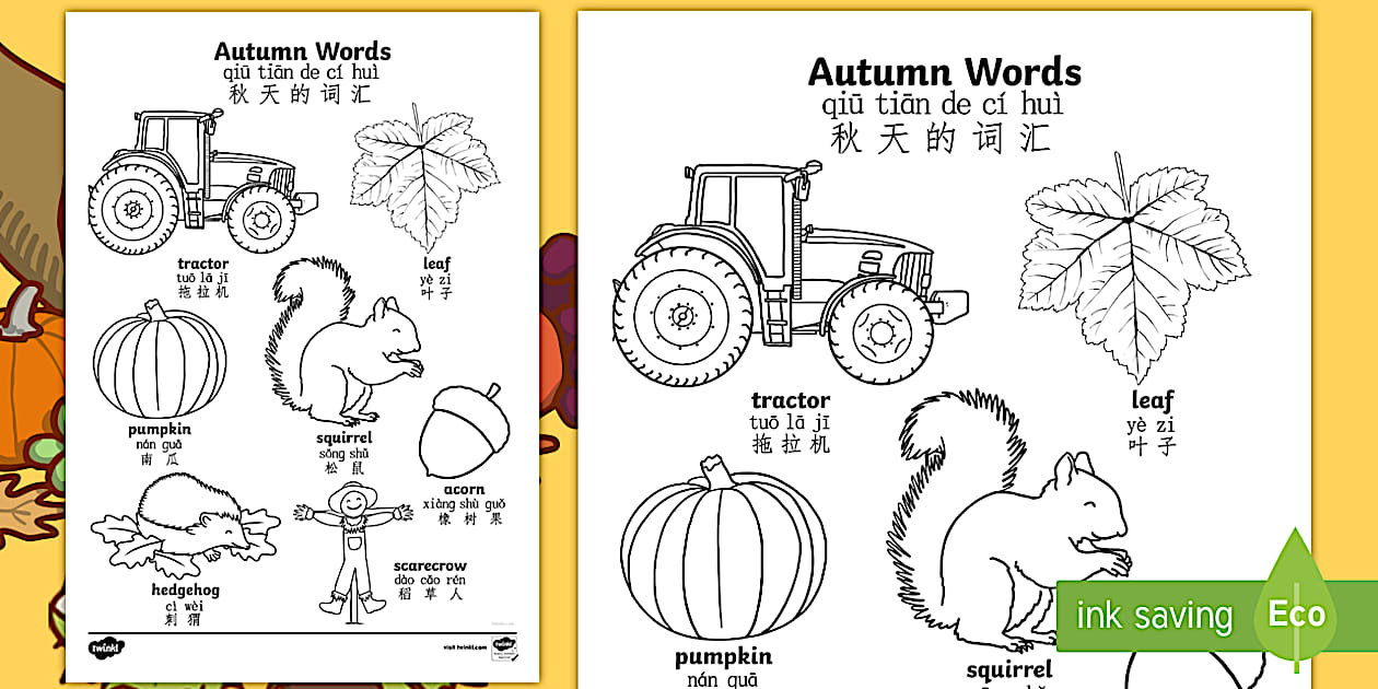 Autumn Themed Words Colouring Worksheet / Worksheet English/Mandarin