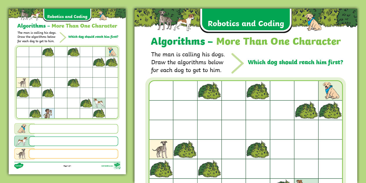 Robotics And Coding Algorithms More Than One Character