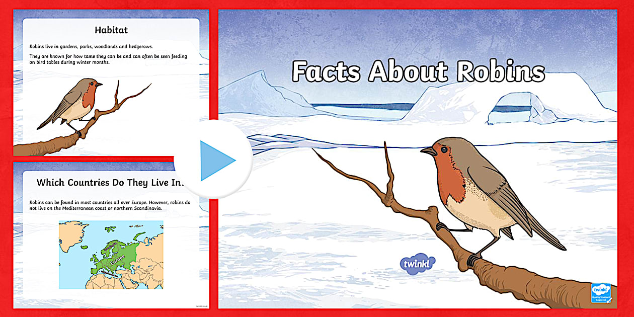 KS2 Facts About Robins PowerPoint (Hecho por educadores)