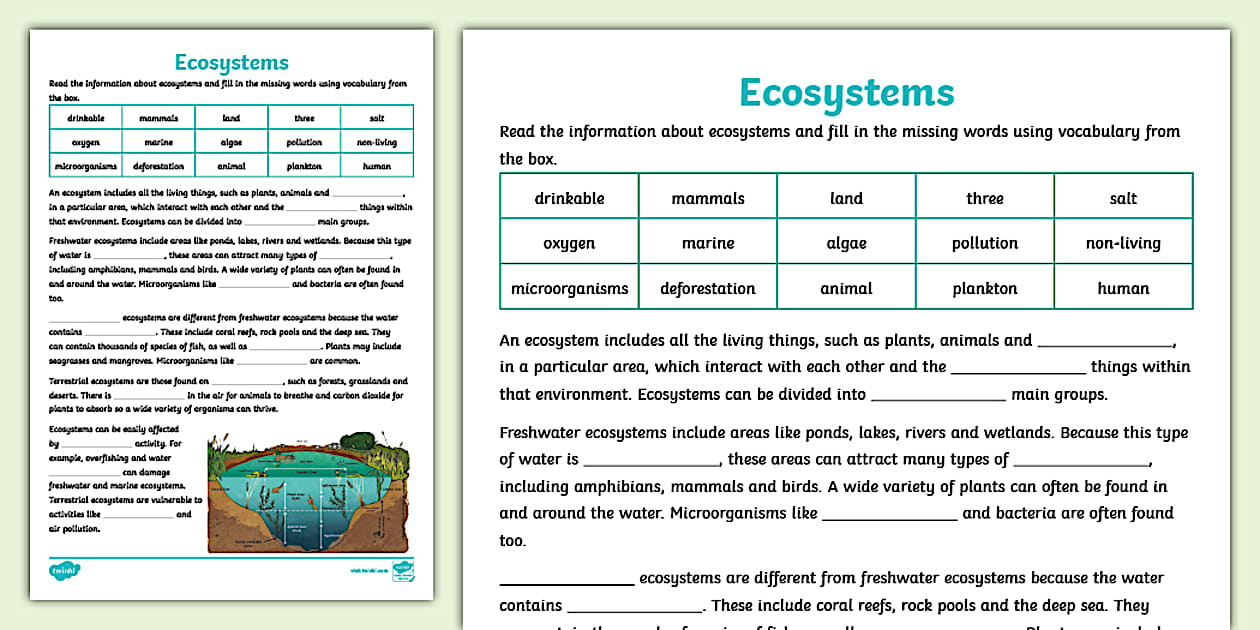 KS2 Ecosystems Cloze Activity (teacher made) - Twinkl
