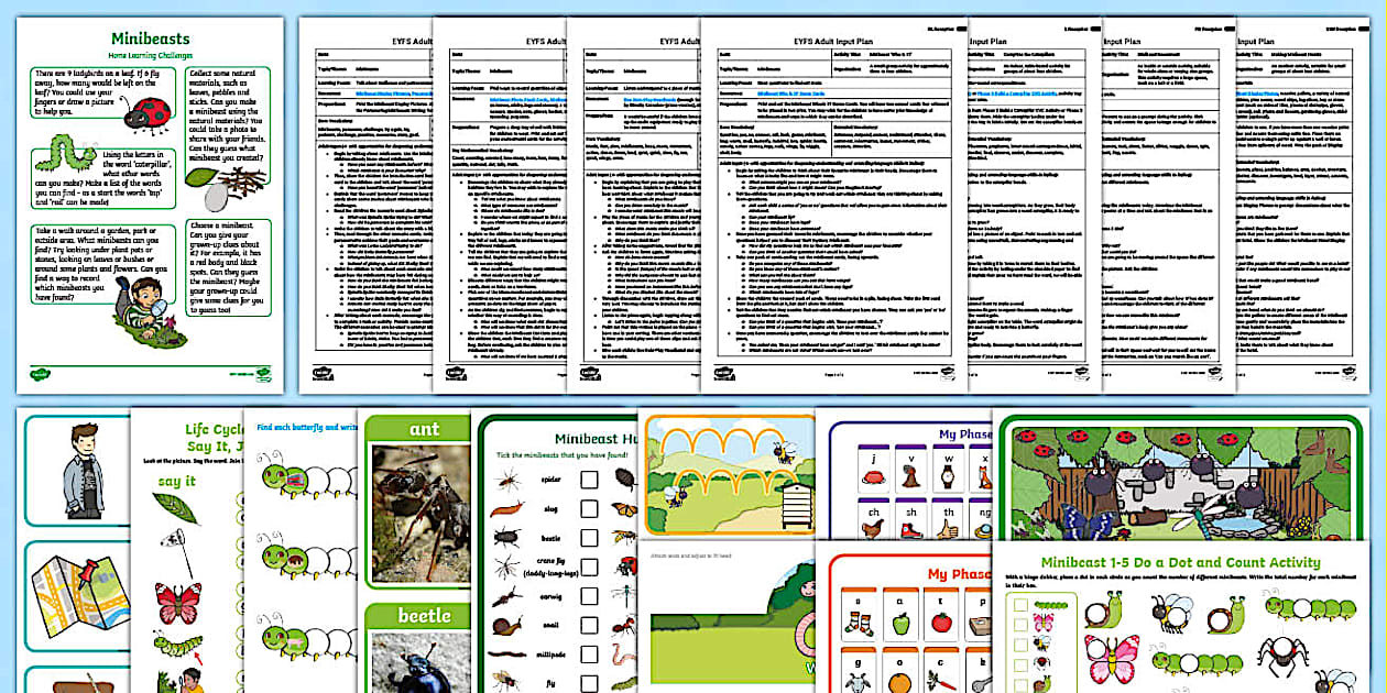 EYFS Minibeasts Adult Input Planning Pack (Reception)