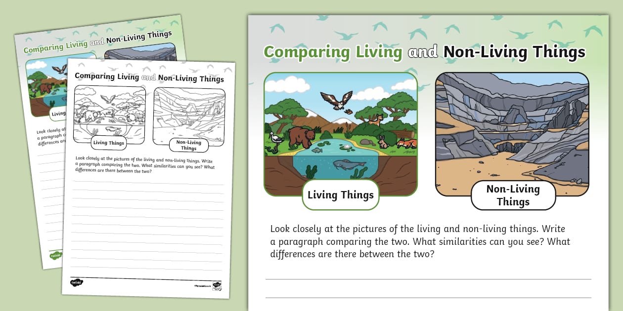 Comparing Living and Non-Living Things Worksheet - Twinkl
