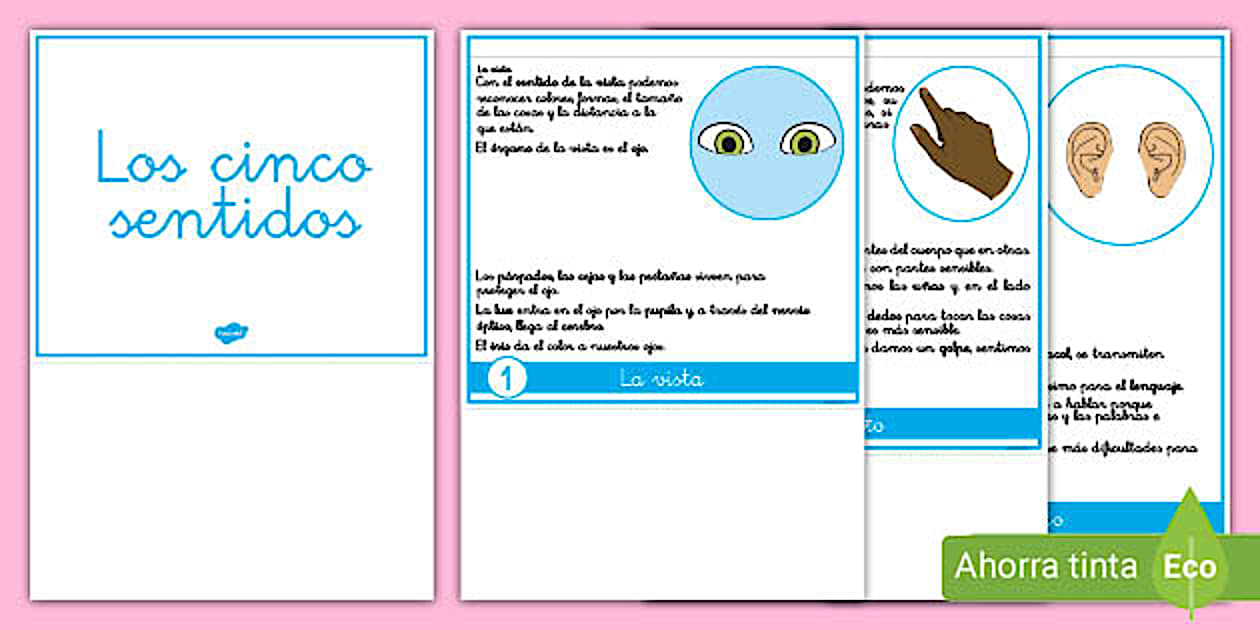 Flipbook: Los cinco sentidos