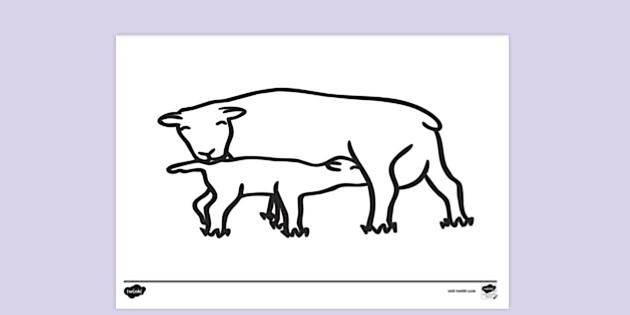 Ewe and Lamb Colouring Sheets | Animals and Art - Twinkl