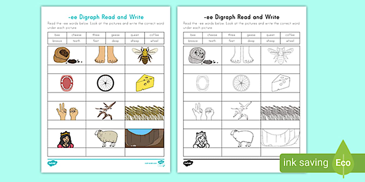 -ee Digraph Read and Write Worksheet (teacher made) - Twinkl