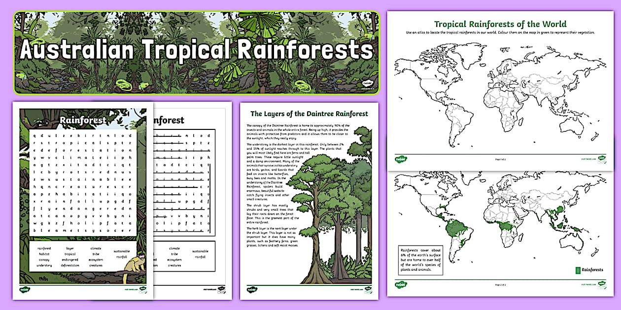 Environments - Rainforests Resource Pack (teacher made)