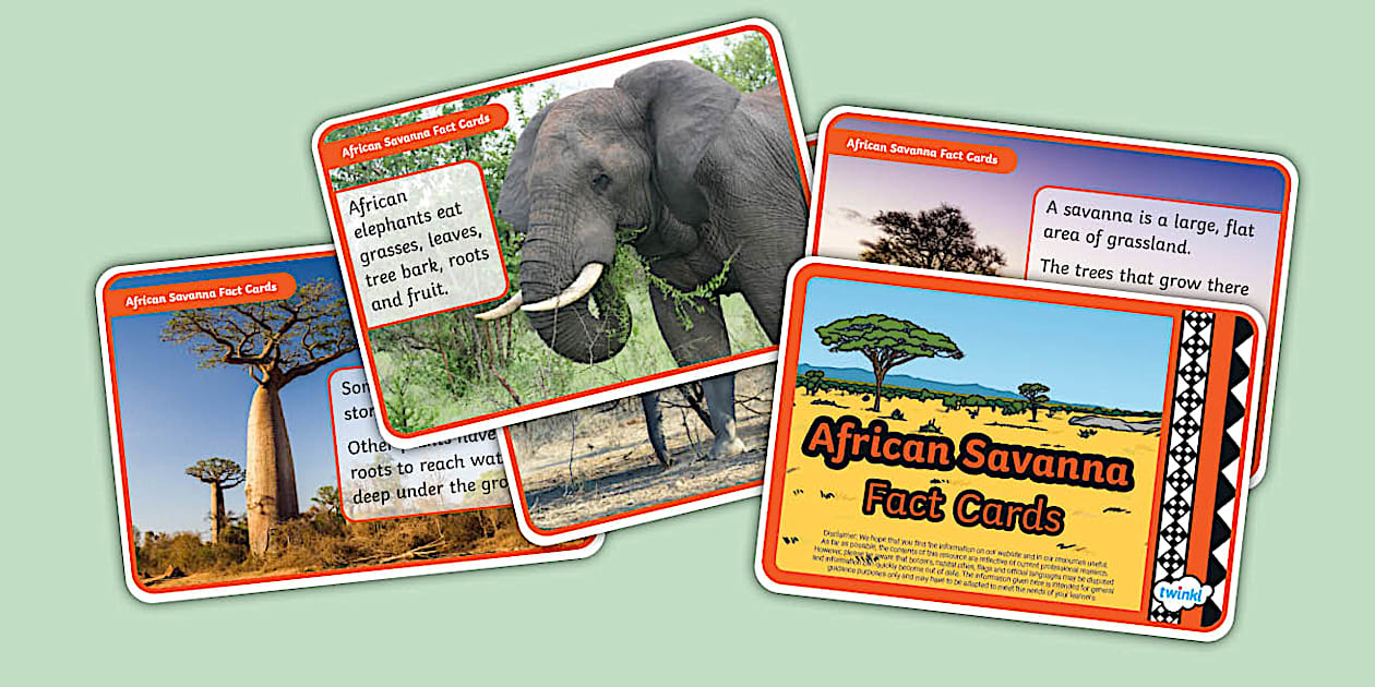 KS1 African Savanna Fact Cards - Twinkl