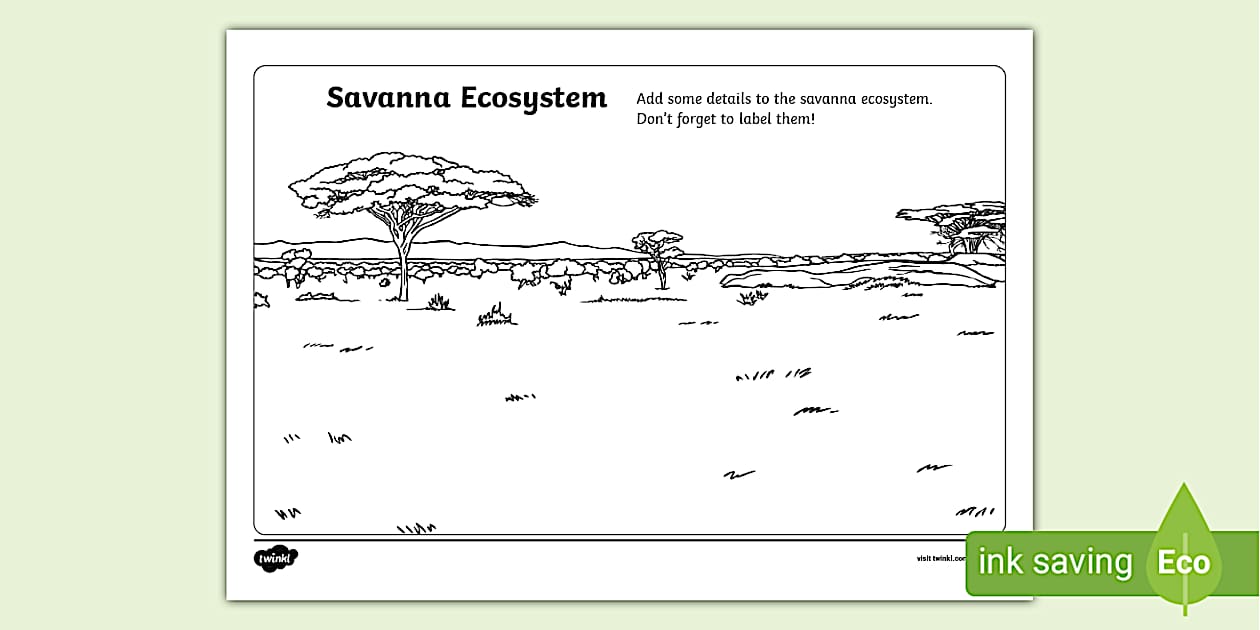 Savanna Ecosystem Worksheet (teacher made) - Twinkl