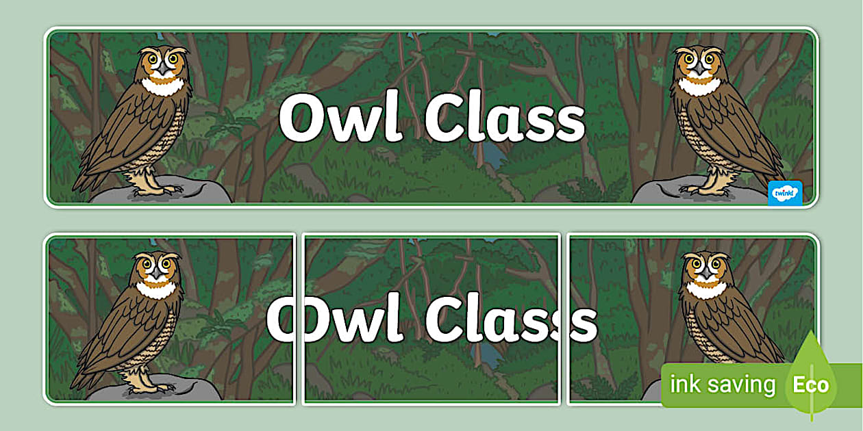 👉 Owl Class Display Banner (Teacher-Made) - Twinkl
