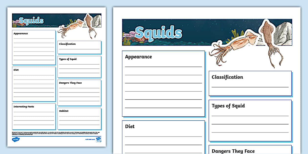 Squids Fact File Template - Twinkl Science (teacher made)