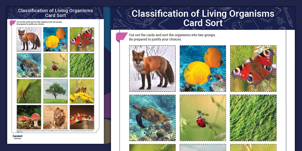 Biodiversity: Classification of Organisms Card Sort - Twinkl