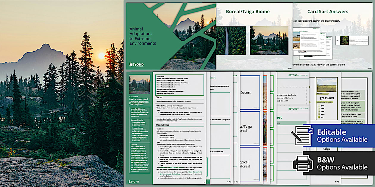 Animal Adaptations to Extreme Environments Lesson Pack