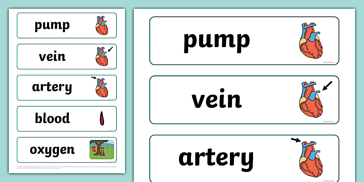 Editable Heart Word Cards (Teacher-Made) - Twinkl