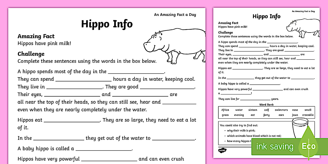 Hippo Info Worksheet | Worksheet |EYFS | Animal - Twinkl