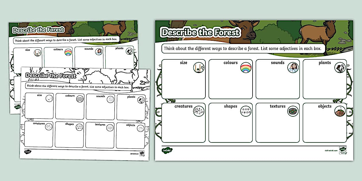 Forest Adjectives Worksheet (creat de profesori) - Twinkl