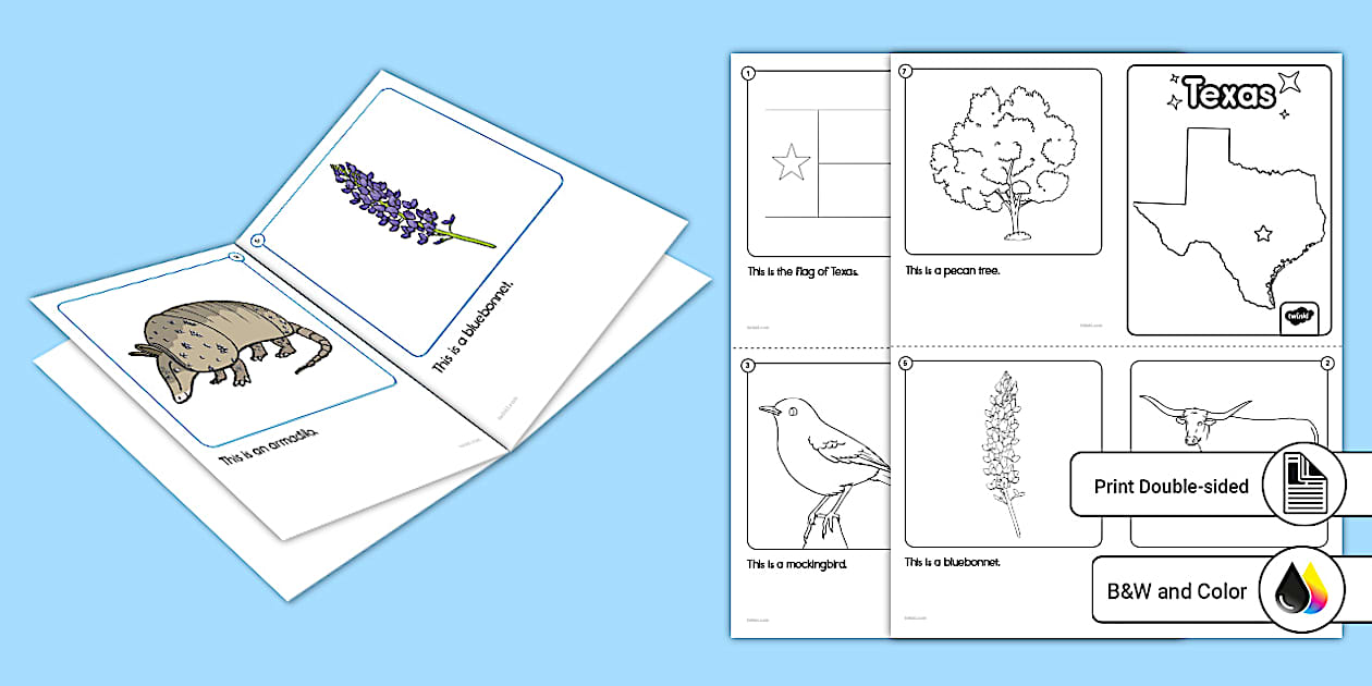 Texas State Symbols Emergent Reader for Kids | Twinkl USA