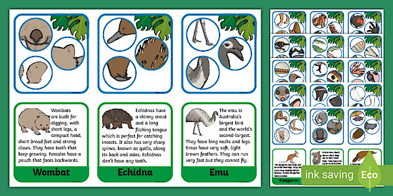Australian Animal Parts Matching Cards
