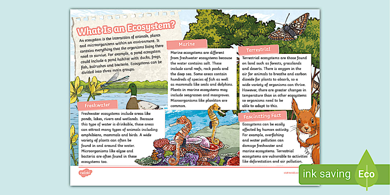 Ecosystems Fact File - Geography - KS2 (teacher made)