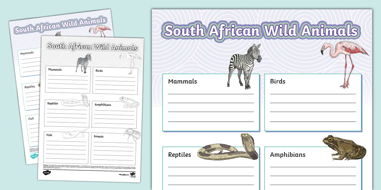 Wild Animals Fact File Template