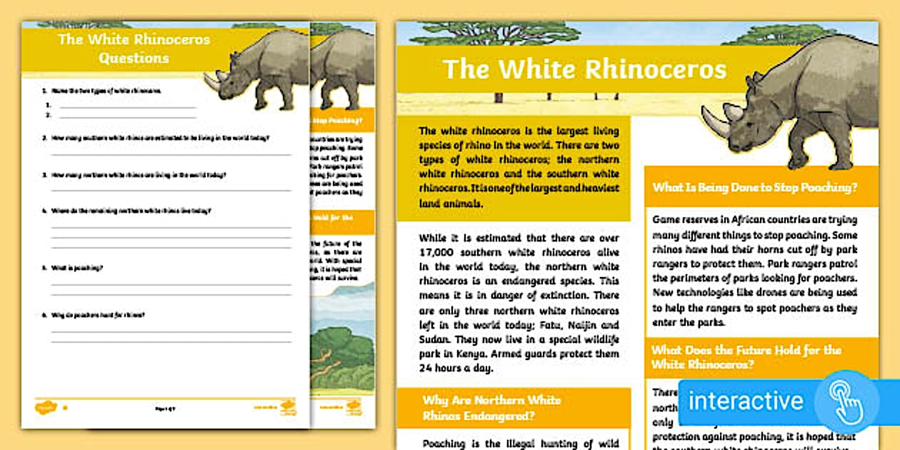 Editable The White Rhinoceros Differentiated Reading Comprehension Activity