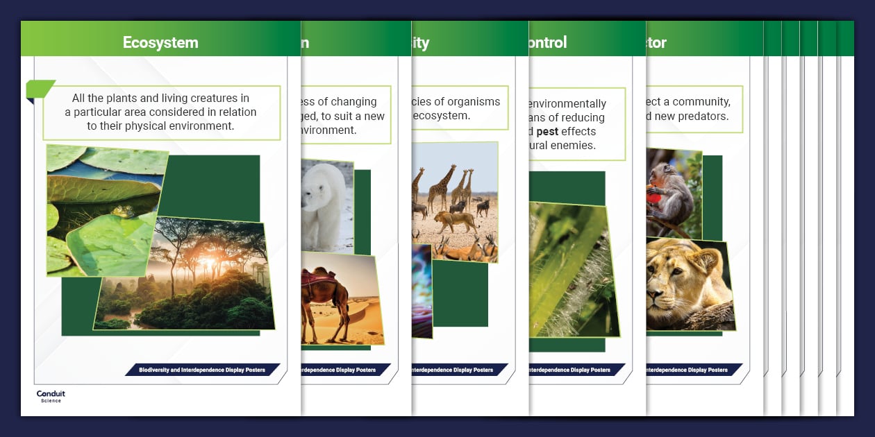 Biodiversity and Interdependence: Display Posters - Twinkl