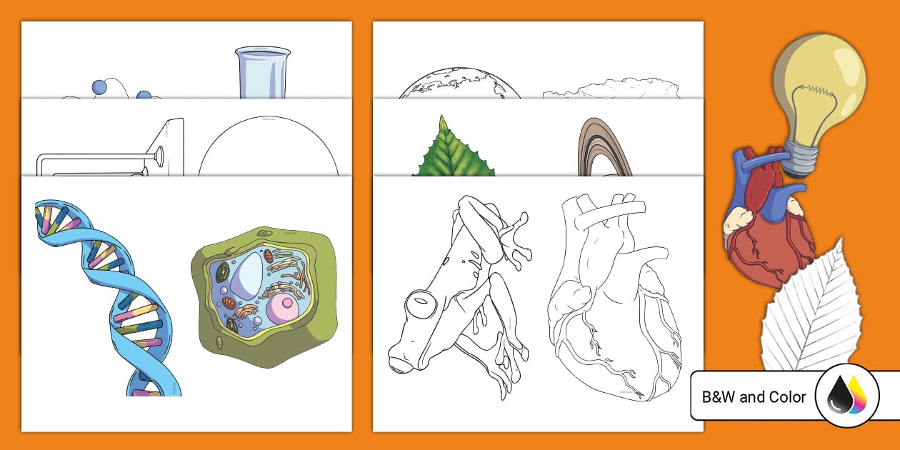 Sixth Grade Science Word Wall Cutouts