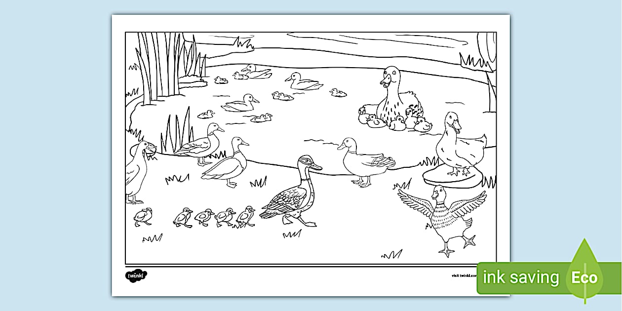 Duck Montage Colouring Page (teacher made) - Twinkl