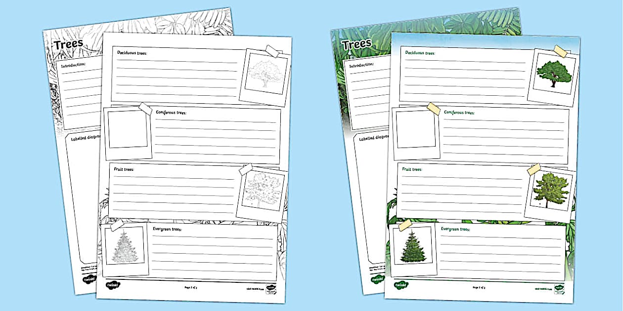 Trees Non-Chronological Report Template (teacher made)