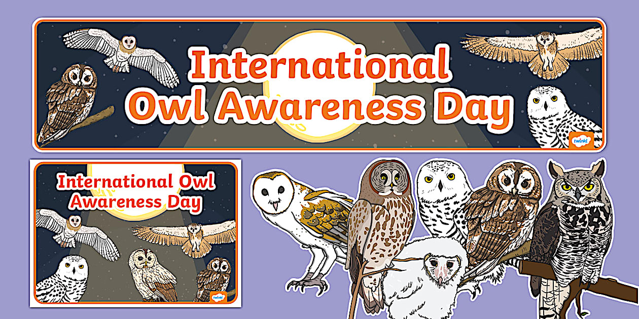International Owl Awareness Day Display Pack (teacher made)