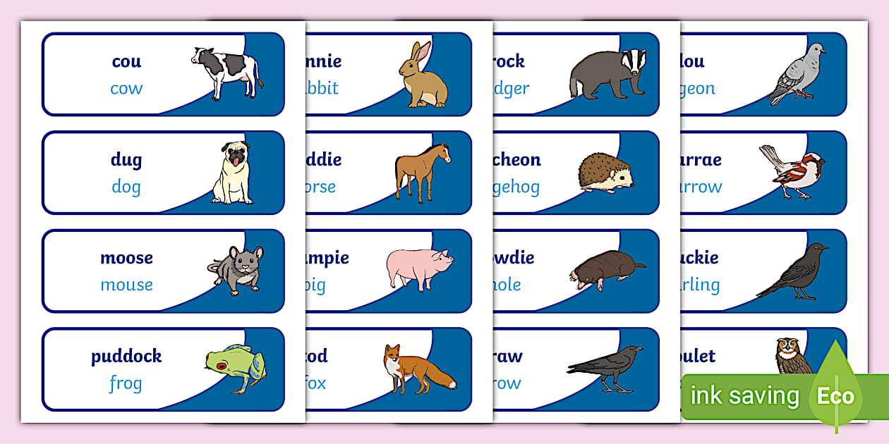 Editable Scots Animal Word Cards (teacher made) - Twinkl