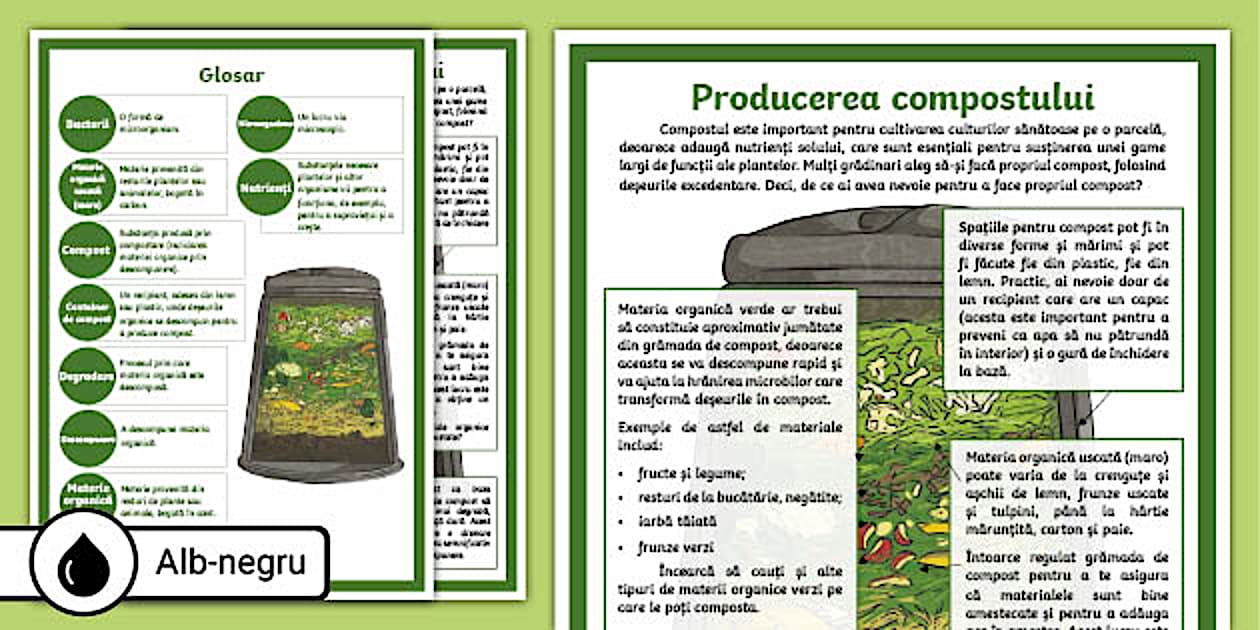 Producerea compostului – Fișă informativă - Twinkl