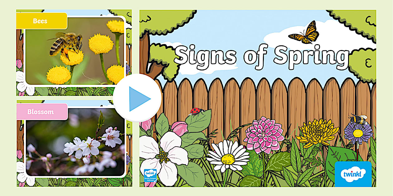 Spring Aistear Signs of Spring PowerPoint (teacher made)