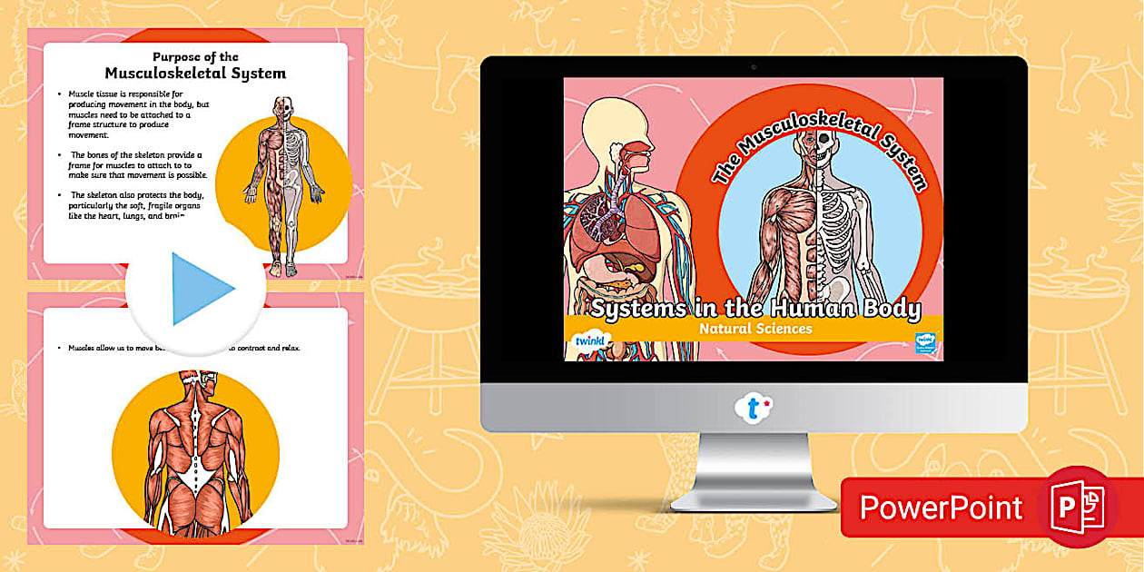 Systems in the Human Body: Musculoskeletal System PowerPoint