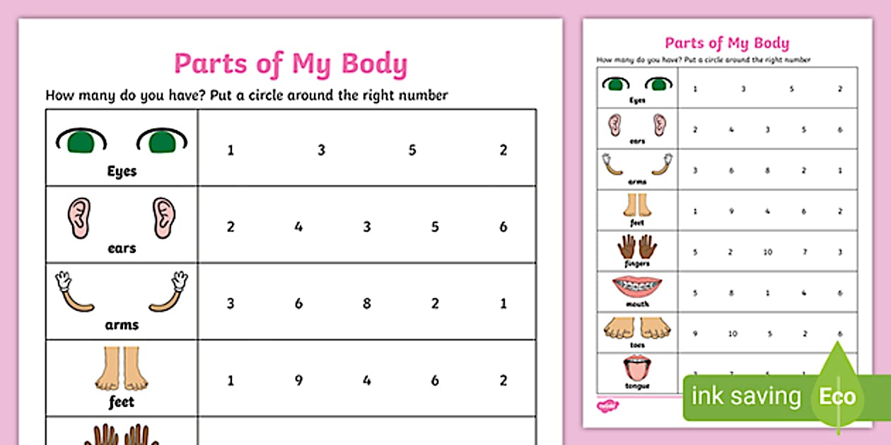 Preschool | Parts of My Body Worksheet | Twinkl South Africa