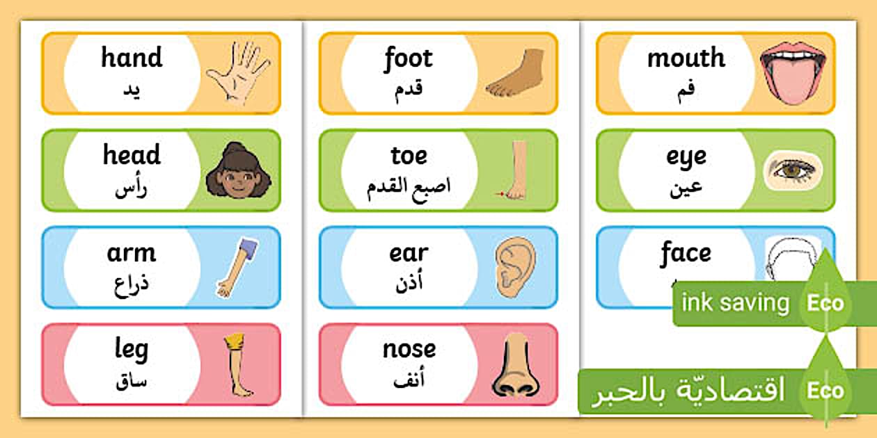 Grade 1 Unit 2 English Word Cards - Kuwait (teacher made)