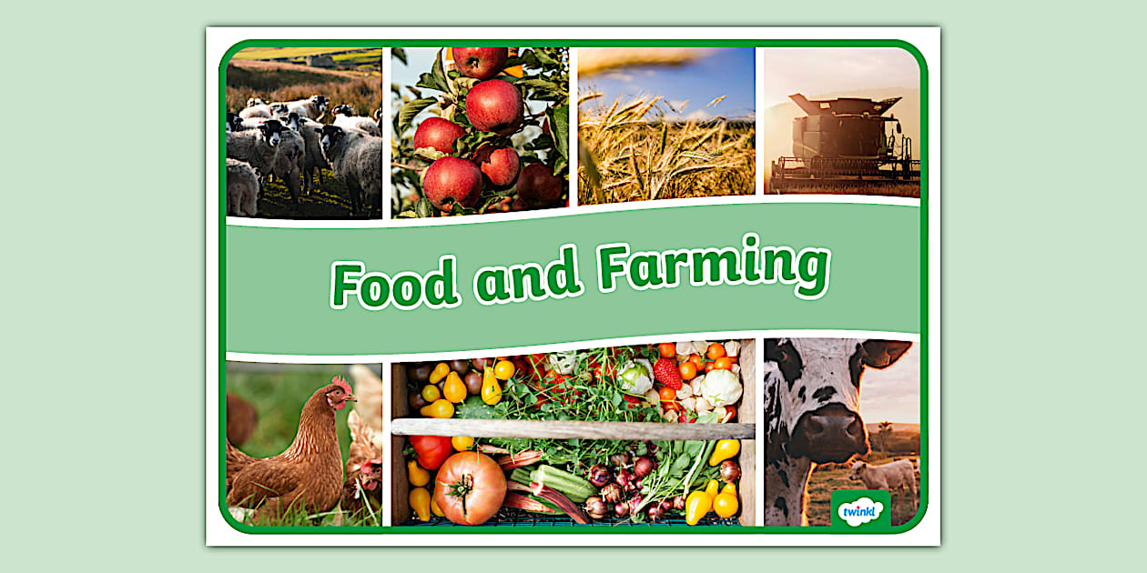 Food and Farming Photo Display Poster (teacher made)