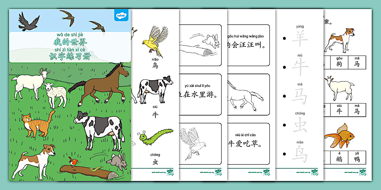 Singapore Mandarin with Pinyin Animal Themed Literacy Booklet