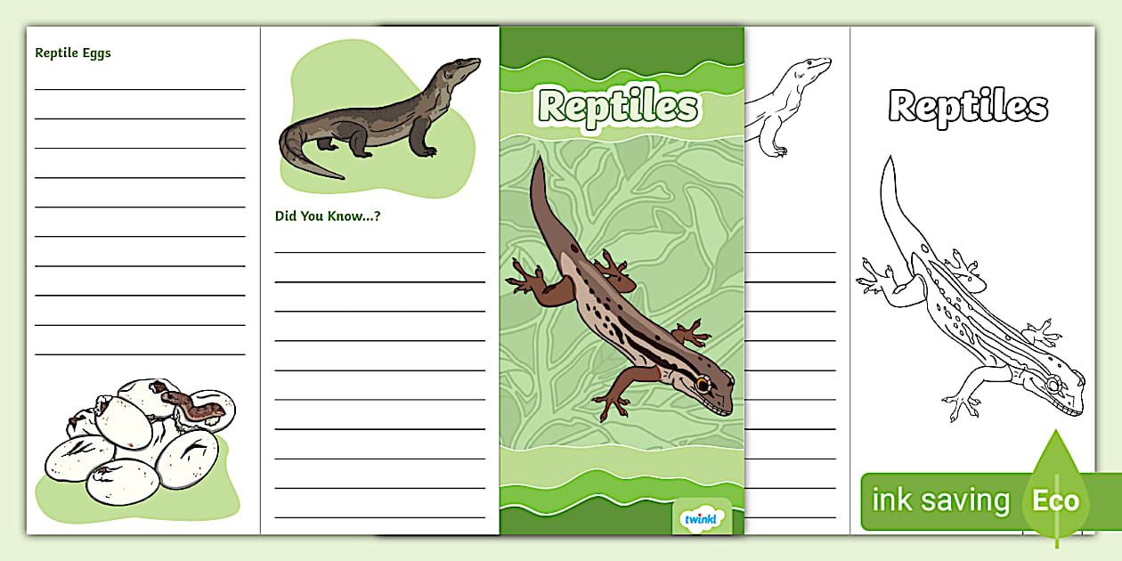 Reptiles Leaflet Template (Teacher-Made) - Twinkl