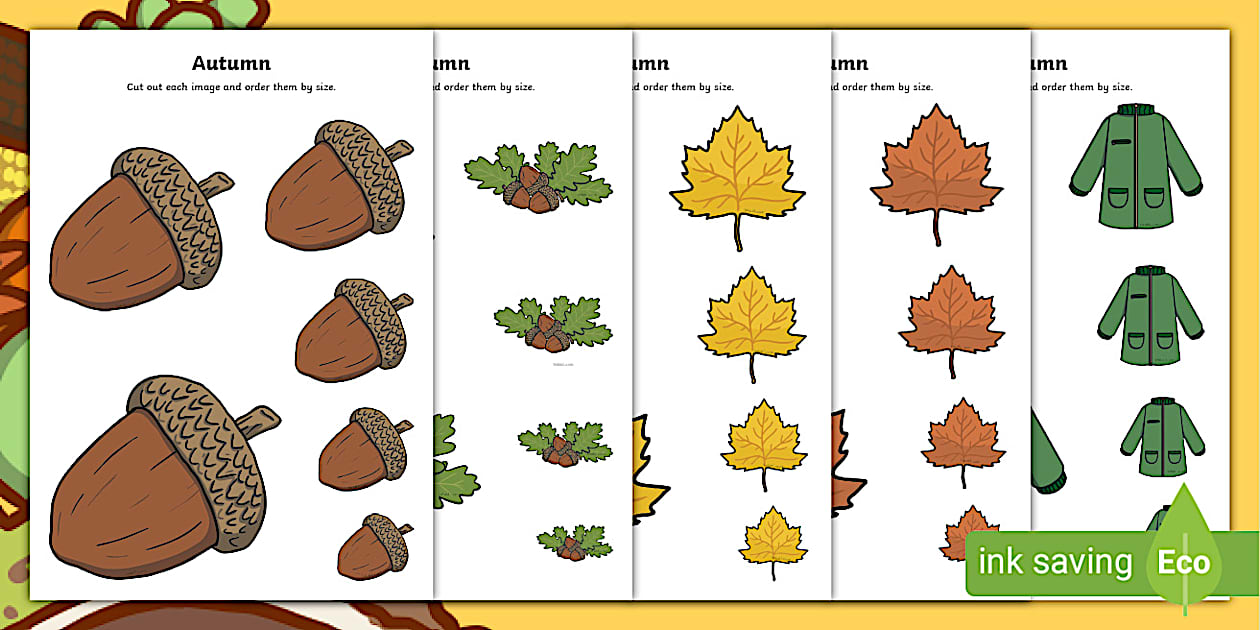 Autumn Size Ordering (teacher made) - Twinkl